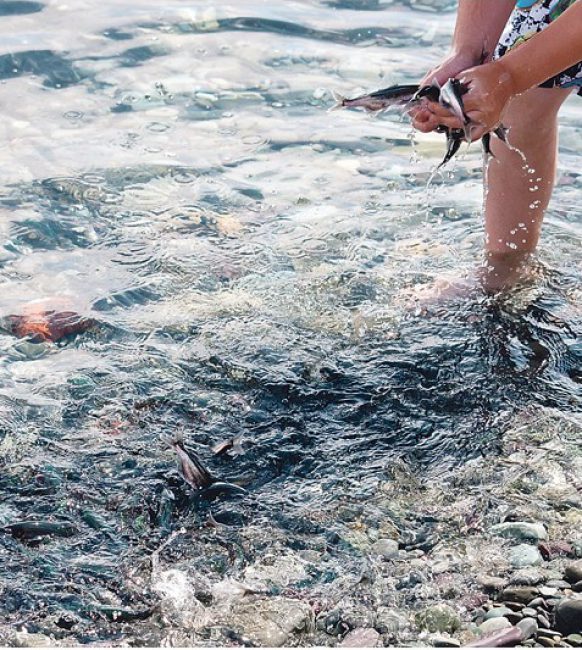 Local Attractions – Town of Triton