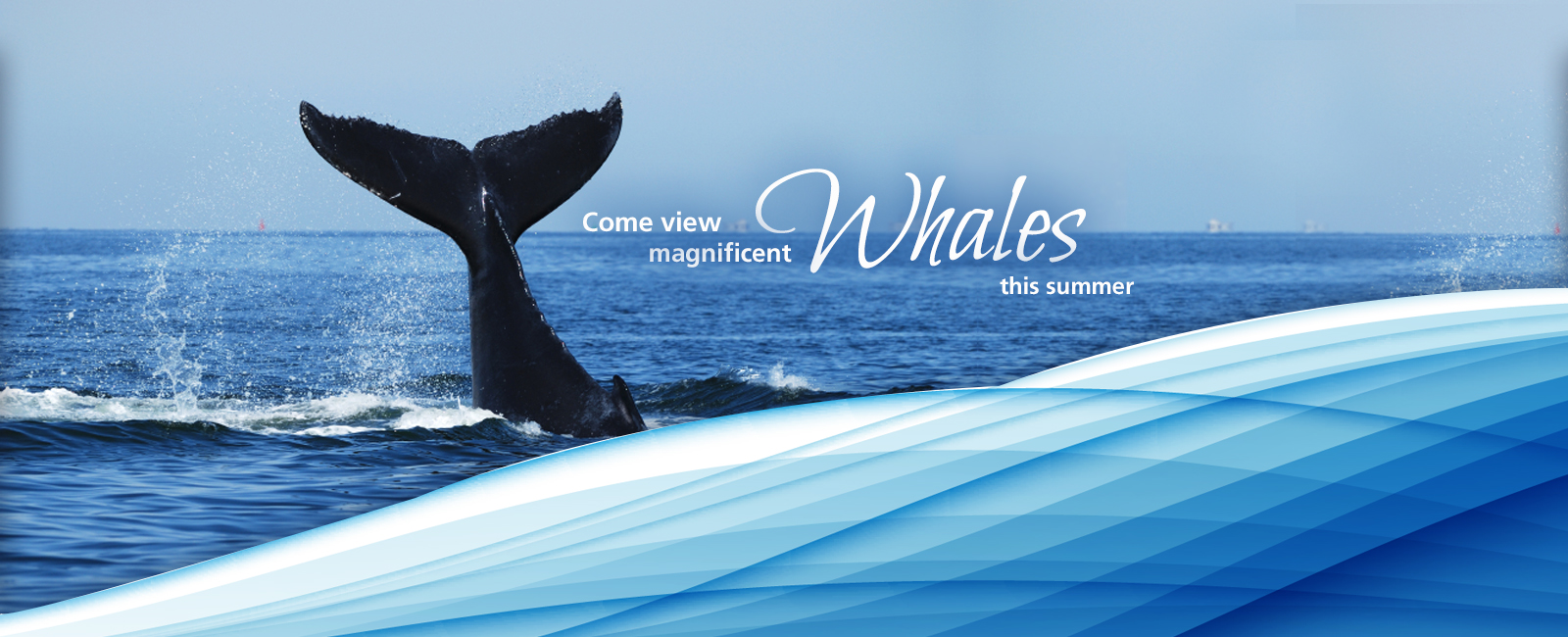 Town of Triton – Town of Triton, Newfoundland & Labrador, Canada
