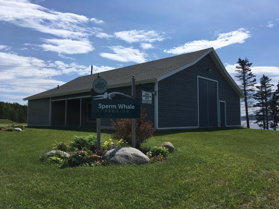 Local Attractions – Town of Triton